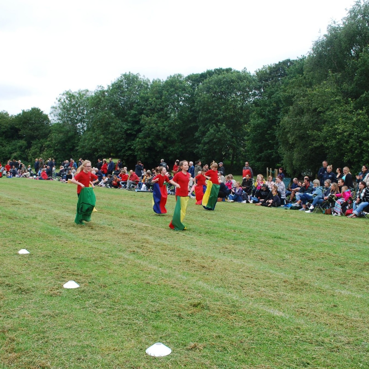 Nettleham Church of England Aided Junior School - It's The Summer Term!